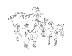 Tuyển Tập 60 Tranh Tô Màu Con Dê Cho Bé Yêu Thích - VNTime