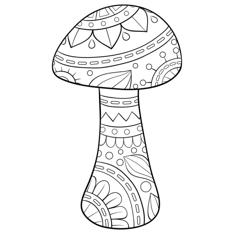 50 Tranh Tô Màu Cây Nấm Dành Cho Bé Yêu Thích Món Ăn Này - VNTime