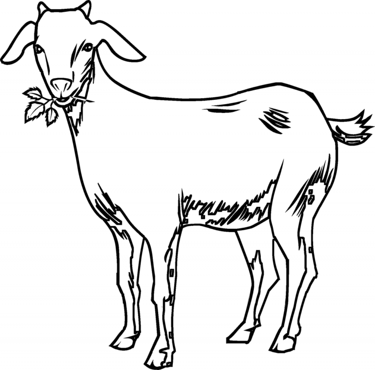 Tuyển Tập 60 Tranh Tô Màu Con Dê Cho Bé Yêu Thích - VNTime