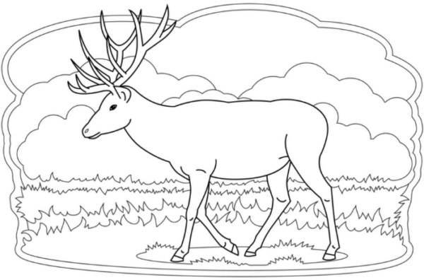 Tuyển Tập 99 Tranh Tô Màu Con Nai Dễ Thương Gây Thương Nhớ Cho Bé - VNTime